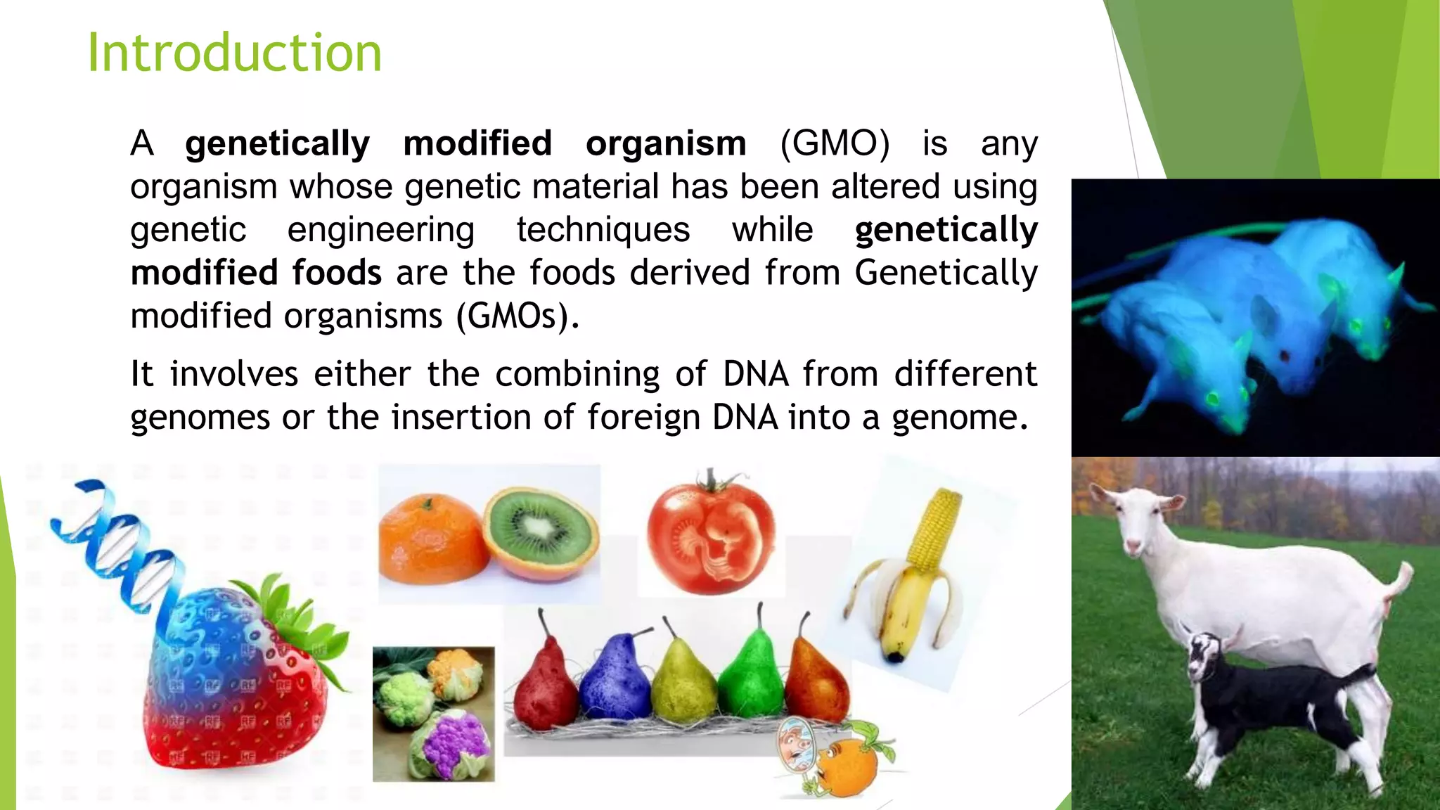 Genetically modified Organisms and Foods | PPTX