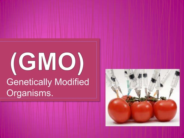Genetically modified organisms (gmo) | PPTX