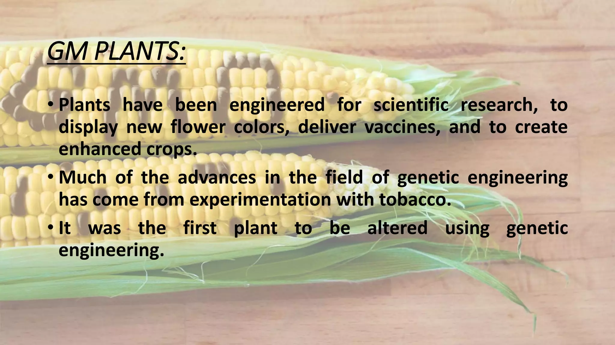 GENETICALLY MODIFIED ORGANISMS(GMO,S).pdf