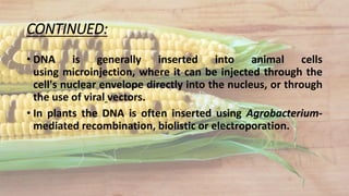 GENETICALLY MODIFIED ORGANISMS(GMO,S).pdf
