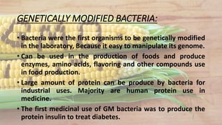 GENETICALLY MODIFIED ORGANISMS(GMO,S).pdf