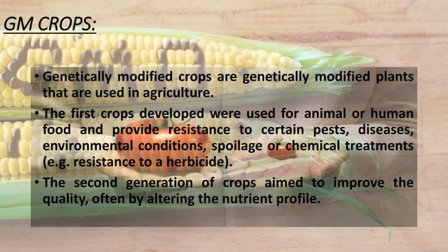 GENETICALLY MODIFIED ORGANISMS(GMO,S).pdf