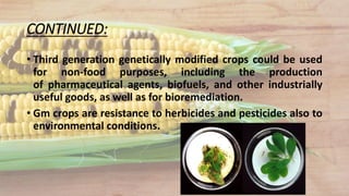 GENETICALLY MODIFIED ORGANISMS(GMO,S).pdf