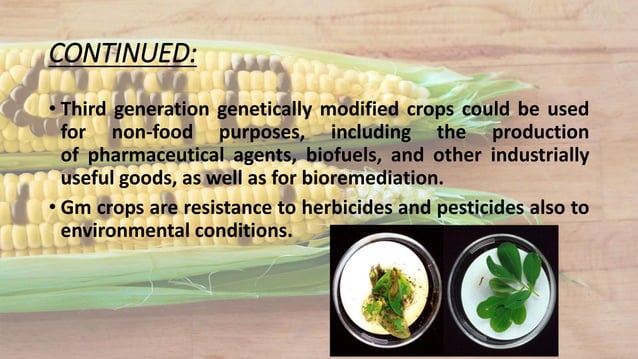 GENETICALLY MODIFIED ORGANISMS(GMO,S).pdf