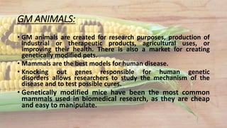 GENETICALLY MODIFIED ORGANISMS(GMO,S).pdf