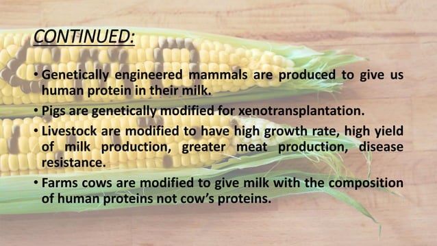GENETICALLY MODIFIED ORGANISMS(GMO,S).pdf