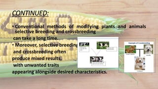 GENETICALLY MODIFIED ORGANISMS(GMO,S).pdf