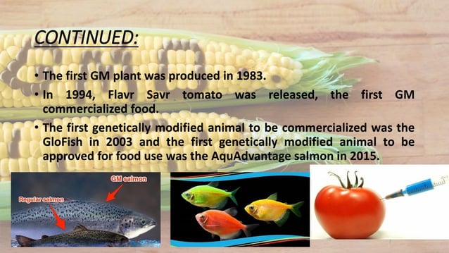 GENETICALLY MODIFIED ORGANISMS(GMO,S).pdf