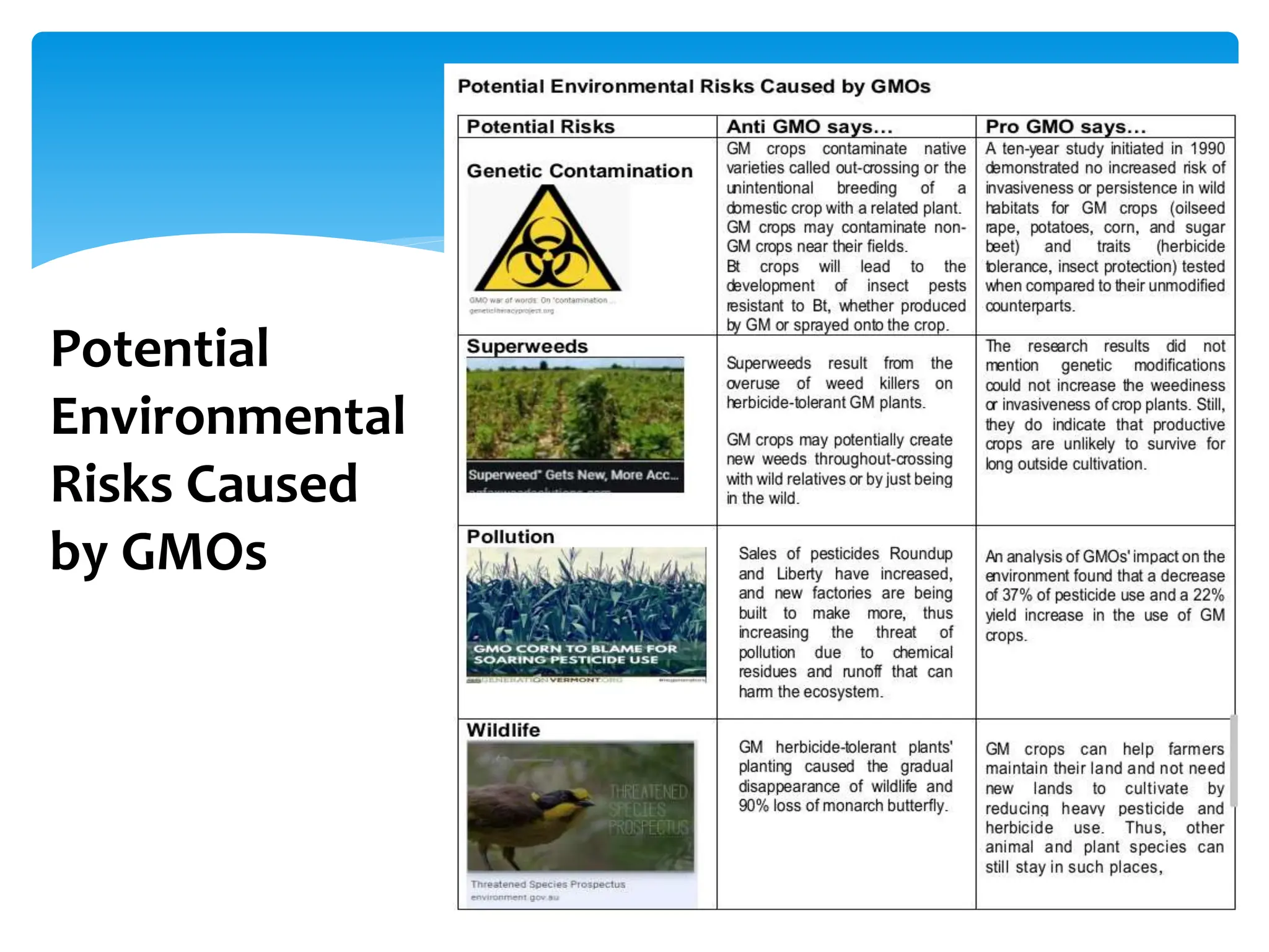 Genetically Modified Organisms (GMOs).pptx
