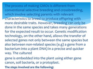 Genetically Modified Organisms (GMOs).pptx