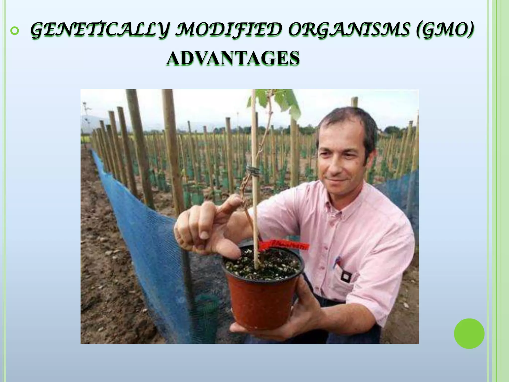 Genetically Modified Organisms | PPSX