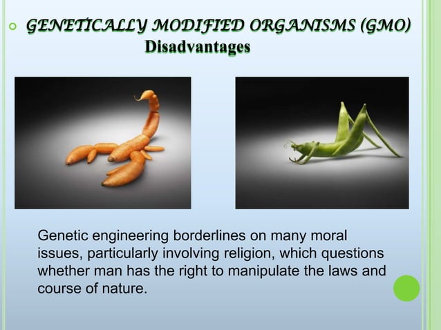 Genetically Modified Organisms | PPSX