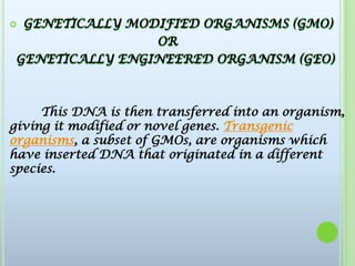 Genetically Modified Organisms | PPSX