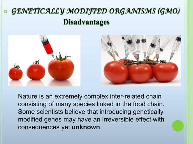 Genetically Modified Organisms | PPSX