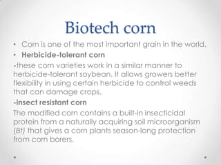 Geneticallymodifiedorganismtestedinourcountry 120916200015-phpapp02 | PPT