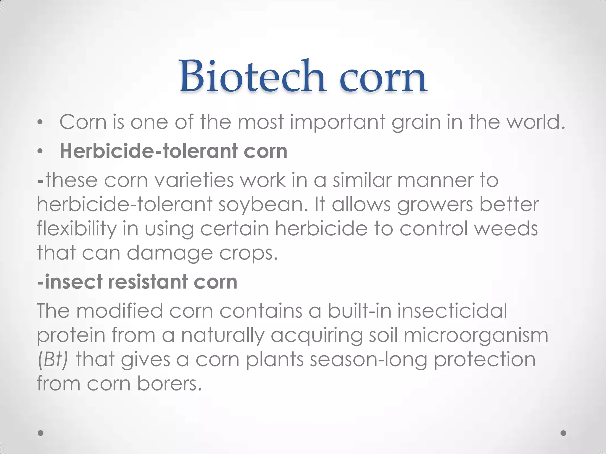 Genetically modified organism tested in the philippines | PPTX