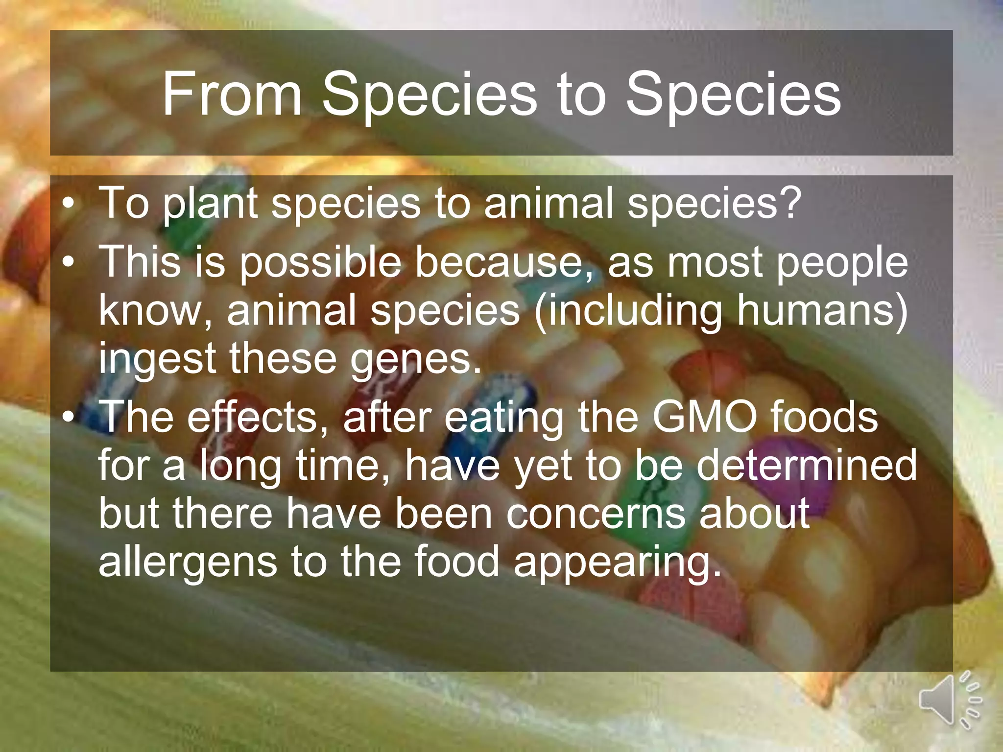 Genetically modified plants | PPTX