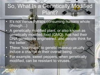 Genetically modified plants | PPTX