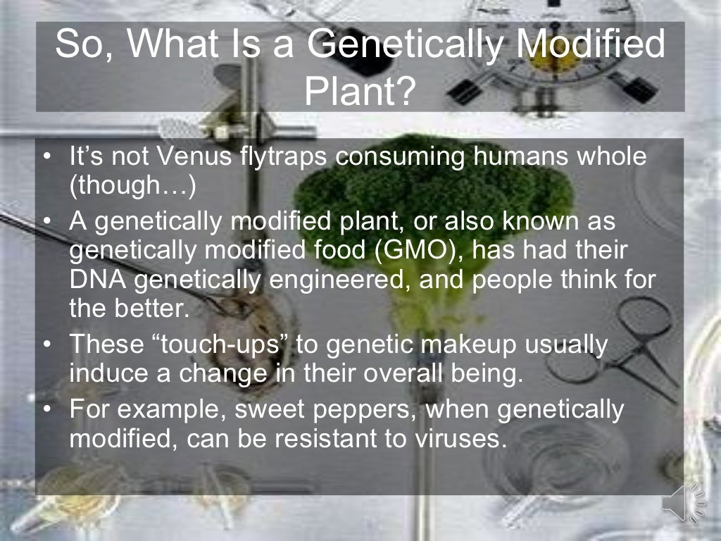 Genetically modified plants