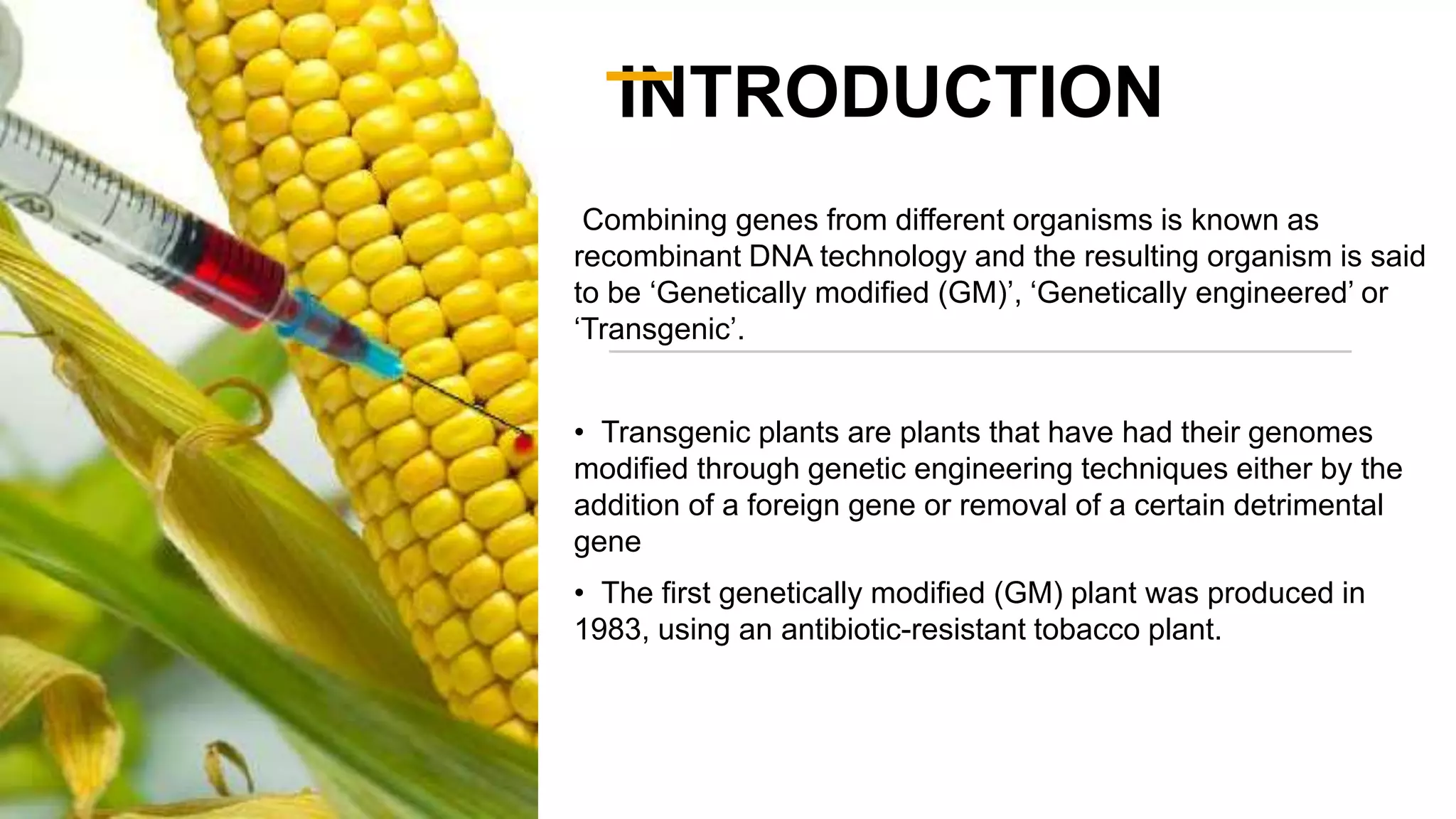 Genetically modified plants | PPTX