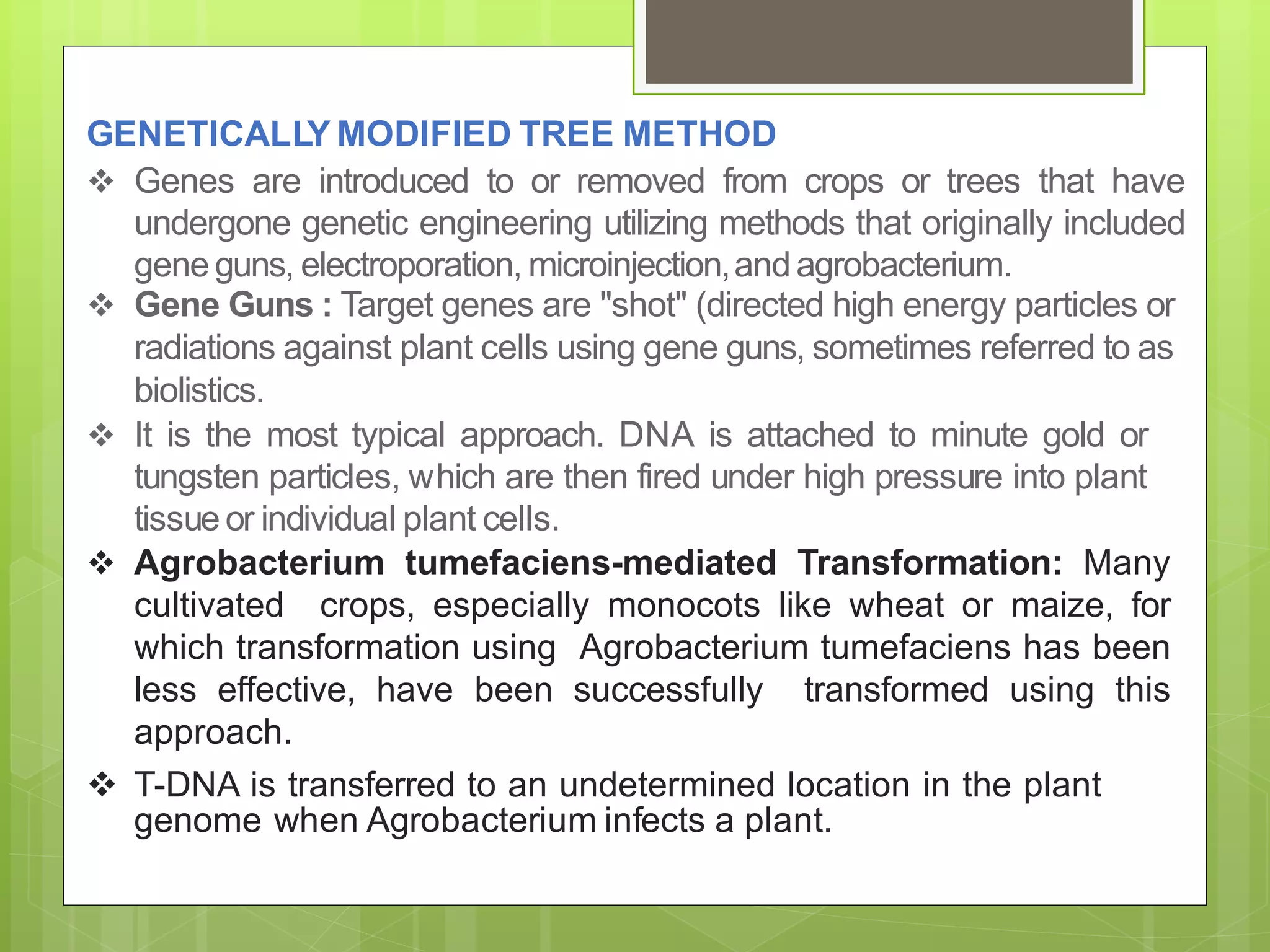 GENETICALLY MODIFIED PLANTS | PPTX