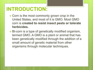 GENETICALLY MODIFIED PLANTS | PPTX