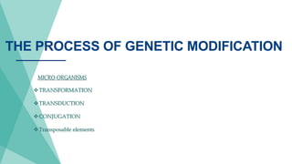 GENETICALLY MODIFIED PRODUCTS.pptx
