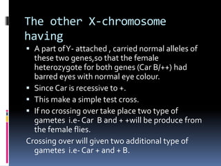 GENETICAL PROOF OF CROSSING OVER OF FOUR STRANDED STAGE.pptx
