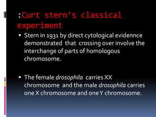 GENETICAL PROOF OF CROSSING OVER OF FOUR STRANDED STAGE.pptx