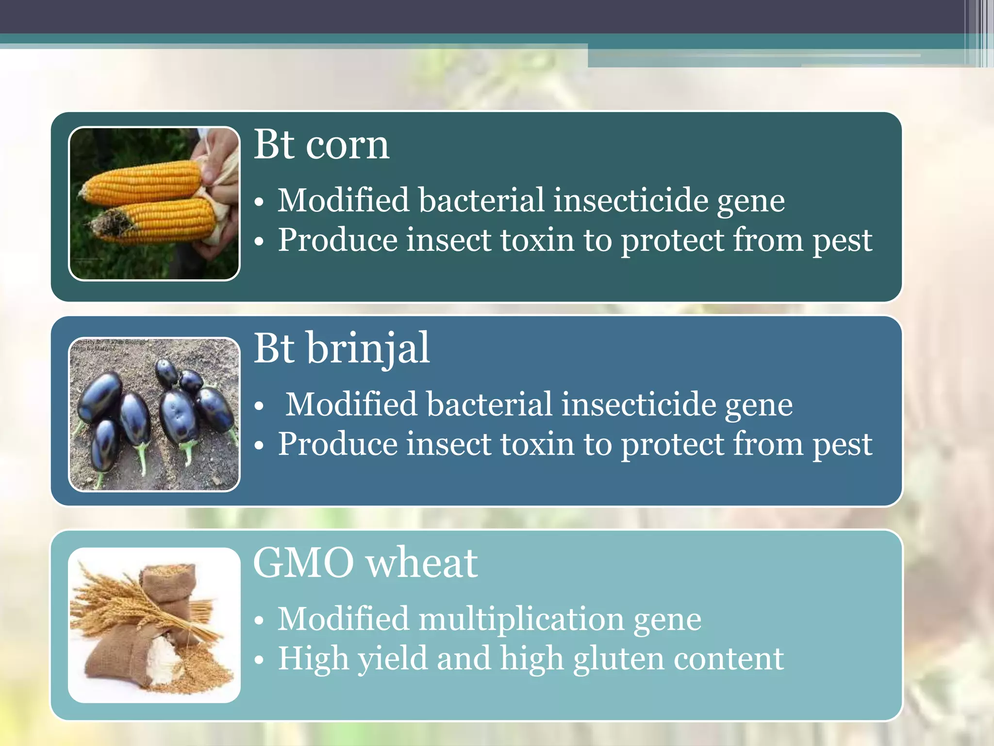 Geneticaly modified crops copy | PPT