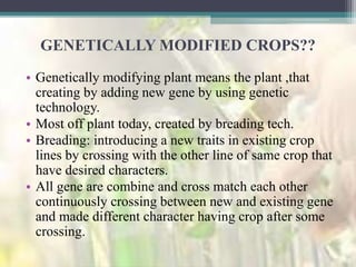 Geneticaly modified crops copy | PPT