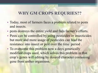 Geneticaly modified crops copy | PPTX