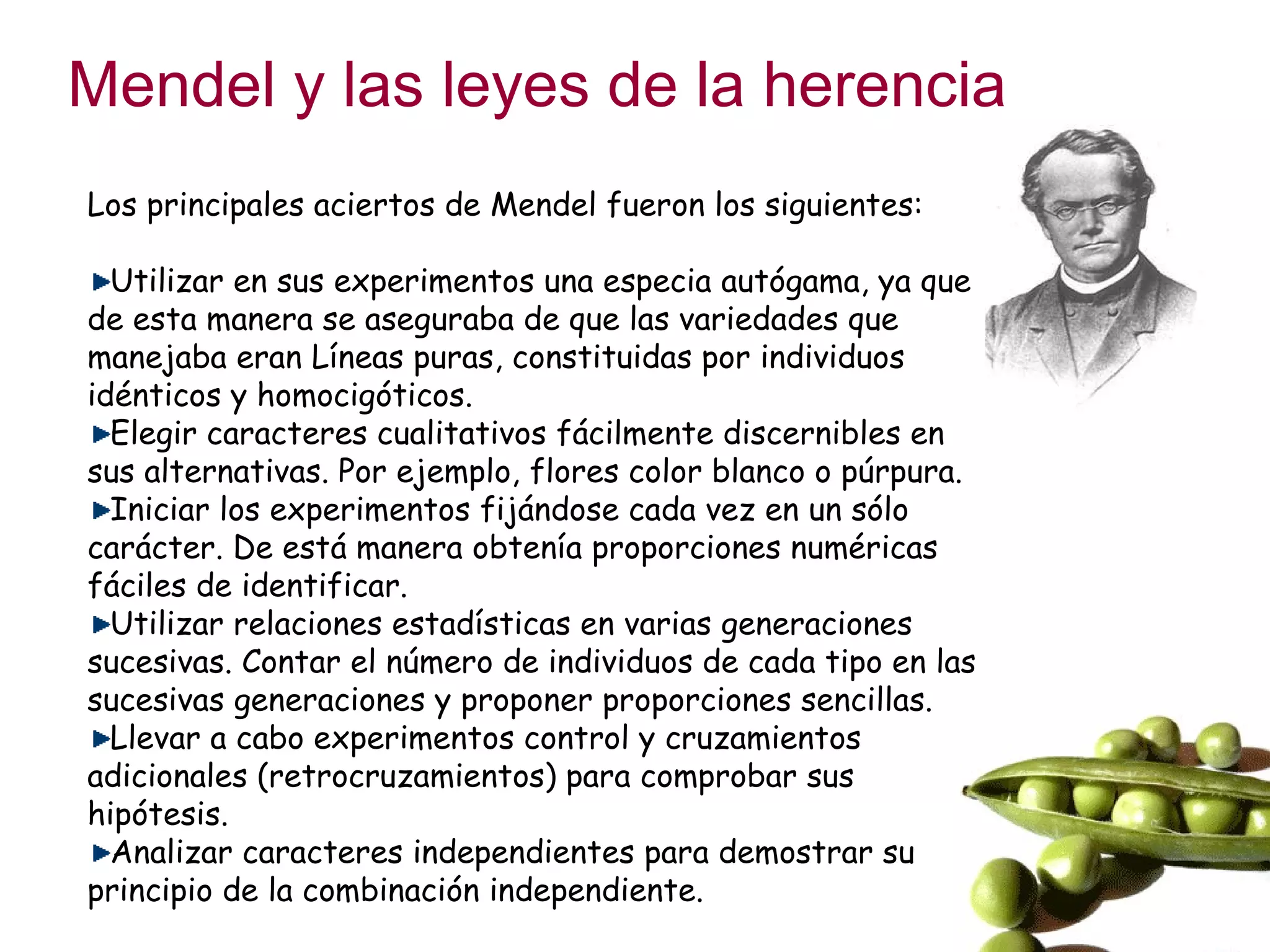Genetica: Mendel y sus leyes | PPT