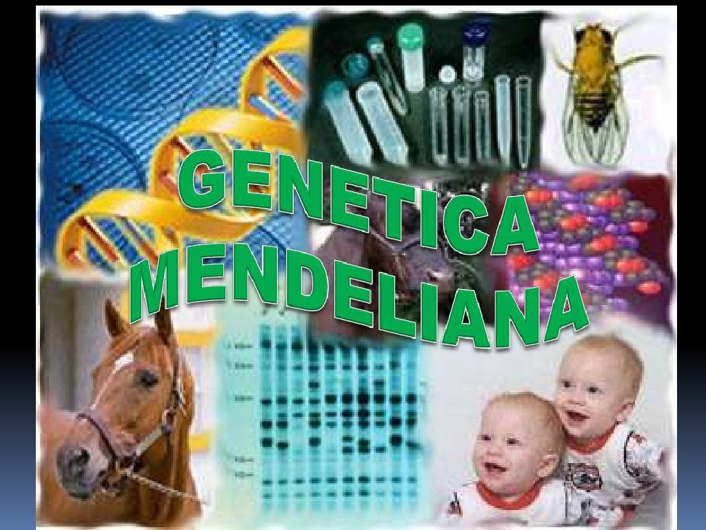 Genetica mendeliana