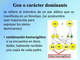 Genetica mendeliana | PPTX