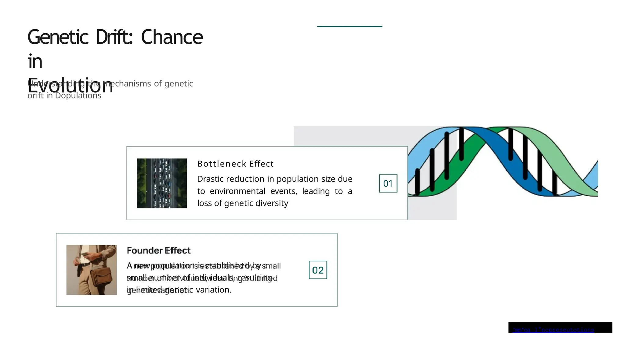 Genetic and Evolution Presentation (1).pptx