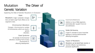 Genetic and Evolution Presentation (1).pptx