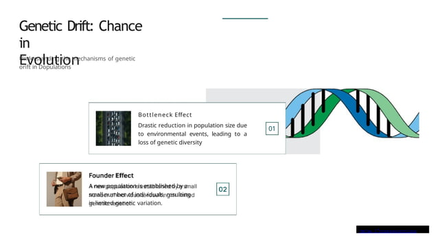 Genetic and Evolution Presentation (1).pptx | Genetics | Science