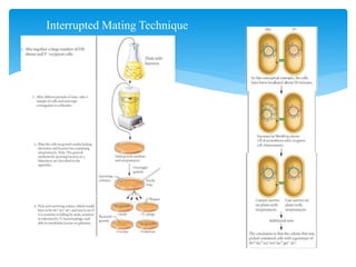 Gene and genetic mapping by recombination | PPTX