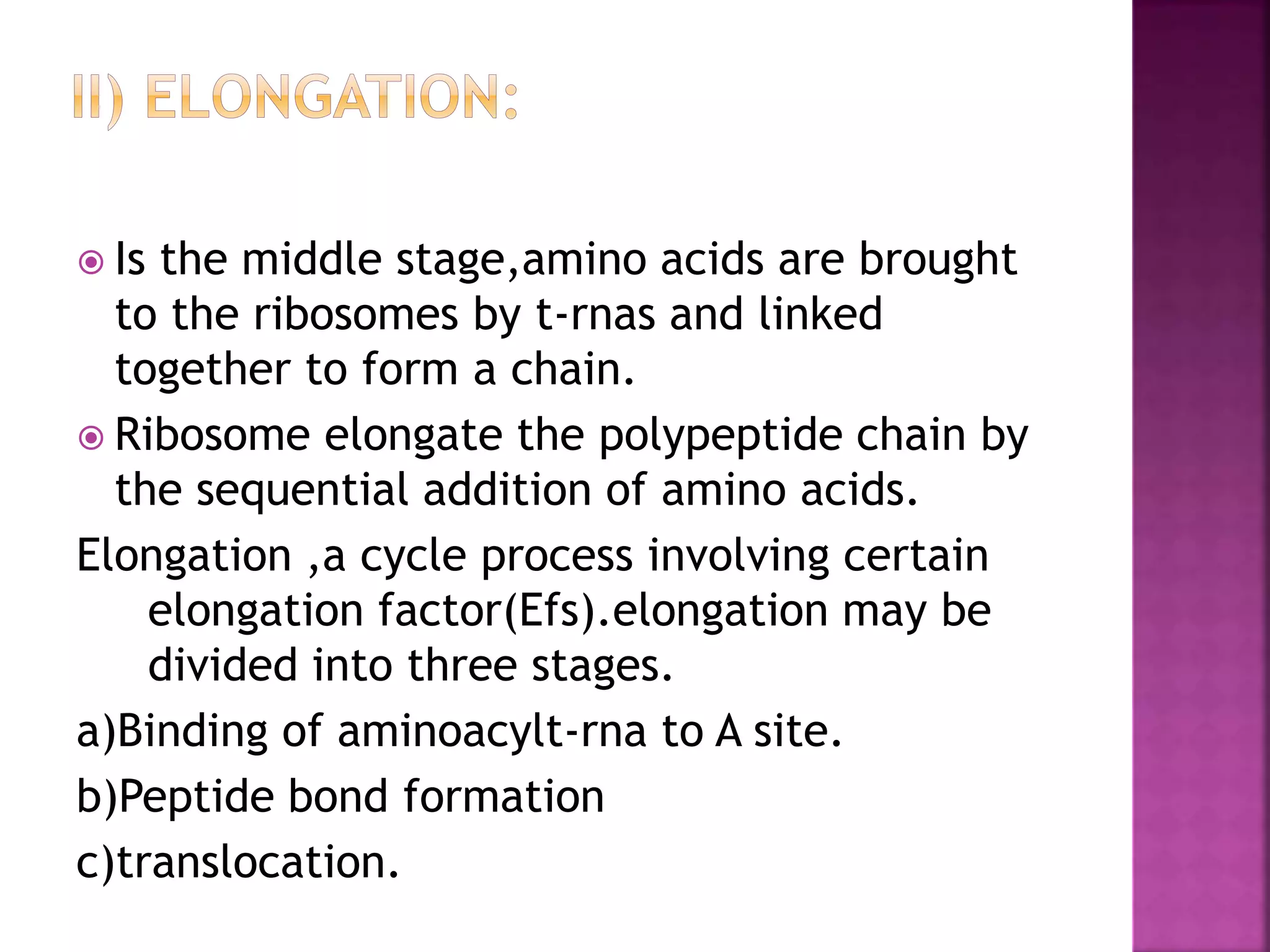 Protein Synthesis In Eukaryotes | PPTX