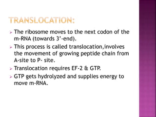 Protein Synthesis In Eukaryotes | PPTX