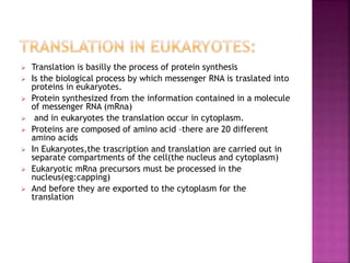 Protein Synthesis In Eukaryotes | PPTX