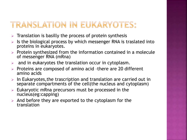 Protein Synthesis In Eukaryotes | PPTX | Programming Languages | Computing
