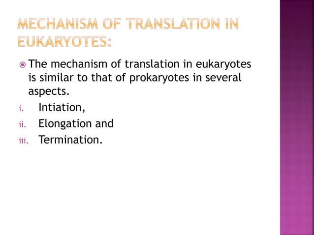 Protein Synthesis In Eukaryotes | PPTX | Programming Languages | Computing