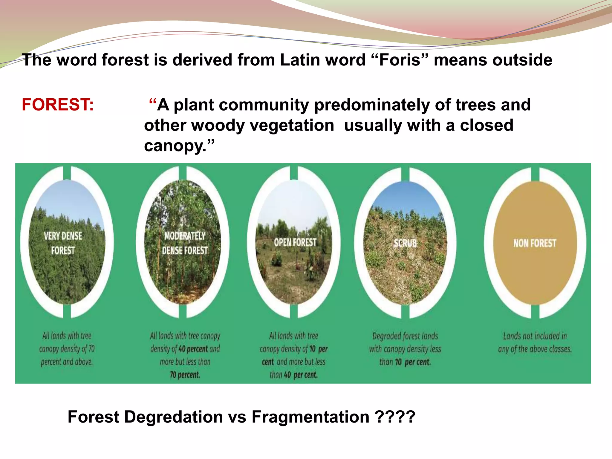 Genetic aspects of forest fragmentation | PPT | Free Download