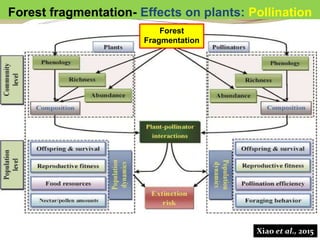 Genetic aspects of forest fragmentation | PPTX