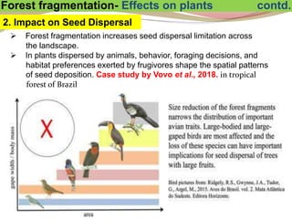 Genetic aspects of forest fragmentation | PPTX