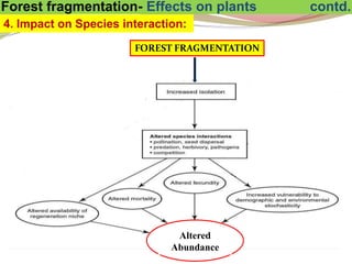 Genetic aspects of forest fragmentation | PPTX