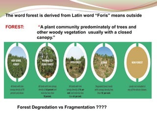 Genetic aspects of forest fragmentation | PPTX