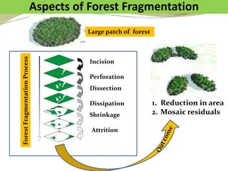 Genetic aspects of forest fragmentation | PPTX